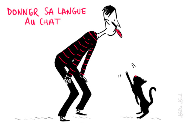 Les expressions avec les chats