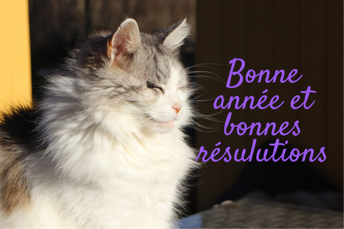 Bonne année pleine de bonnes résolutions