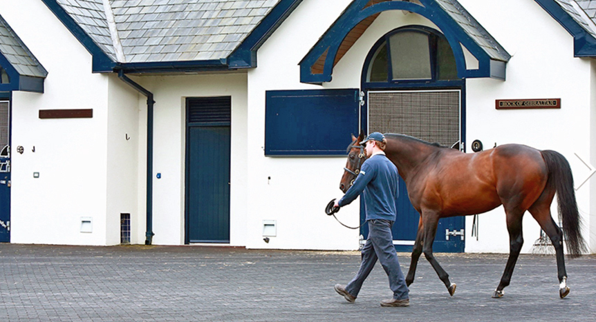 Les chevaux en Irlande épisode 3