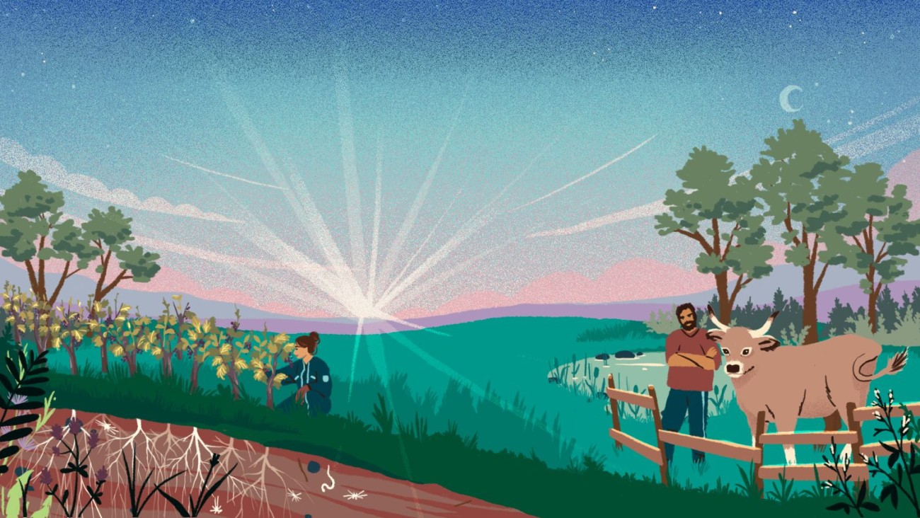 Les principes fondamentaux de la biodynamie