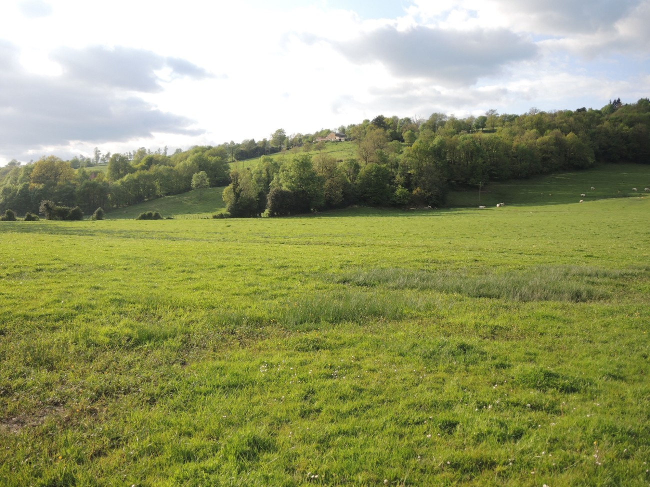 Les prairies naturelles